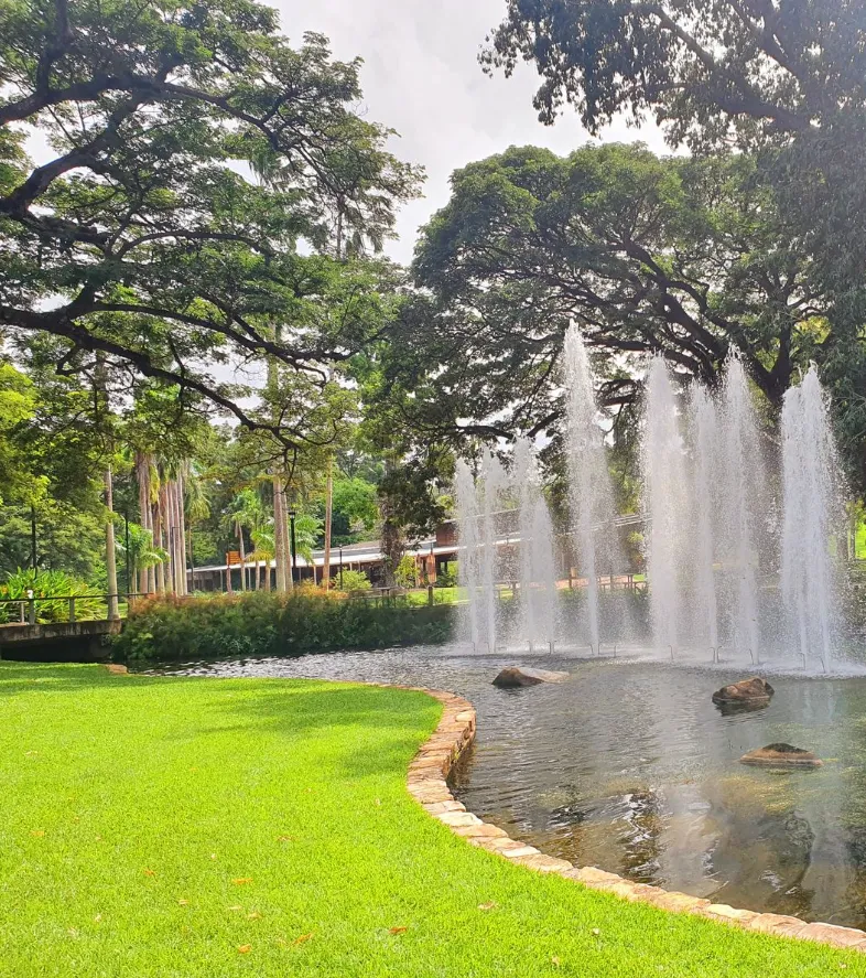 Exploring the Botanic Gardens in Darwin: A Tropical Paradise